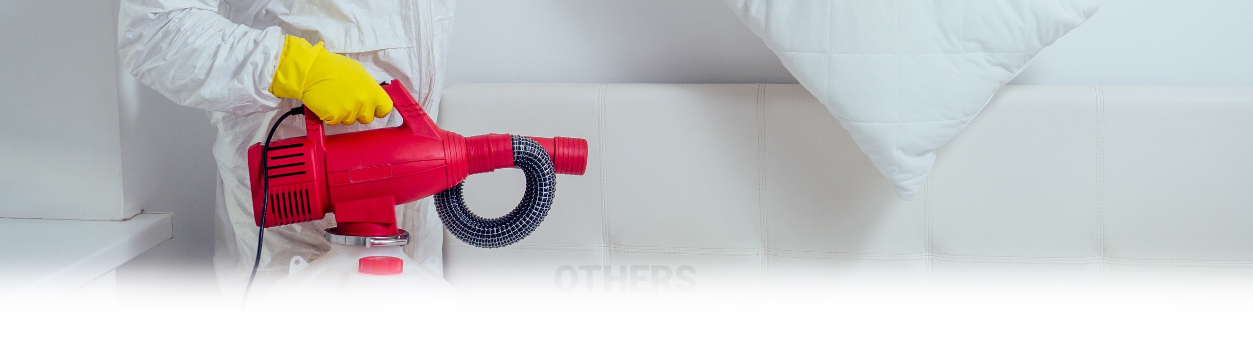 Insect & Bacteria Control Solutions - PestWest Australia | Insect ...