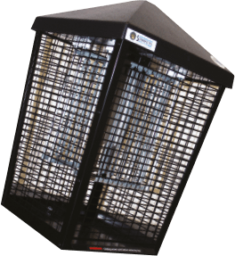 Insect & Bacteria Control Solutions - PestWest Australia | Insect ...