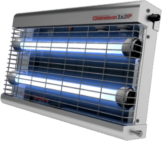 Insect & Bacteria Control Solutions - PestWest Australia | Insect ...