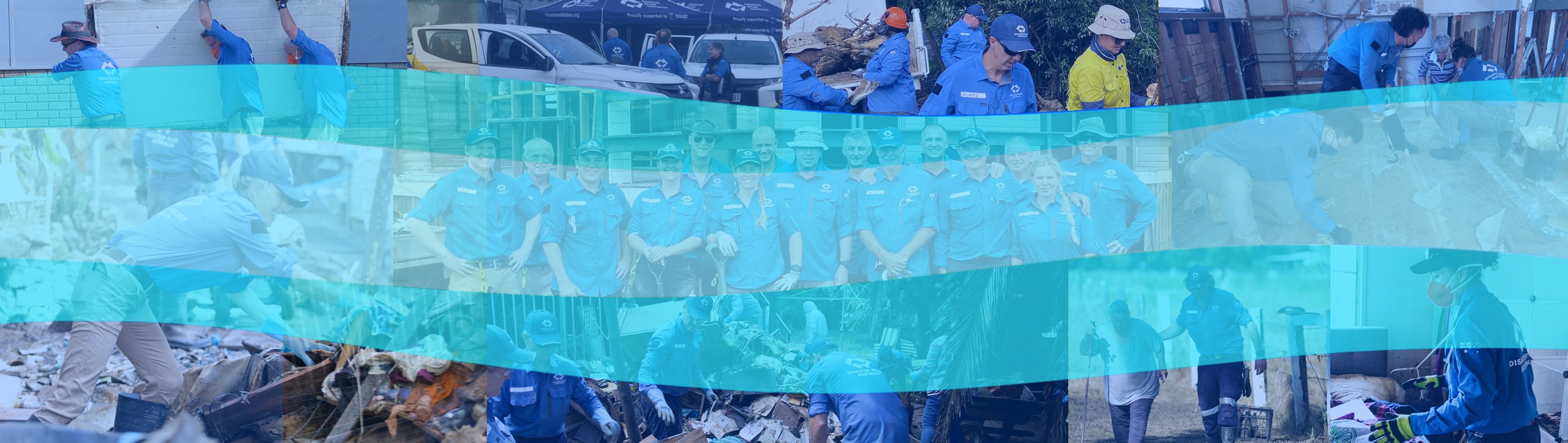 Insect & Bacteria Control Solutions - PestWest Starkeys | Insect ...