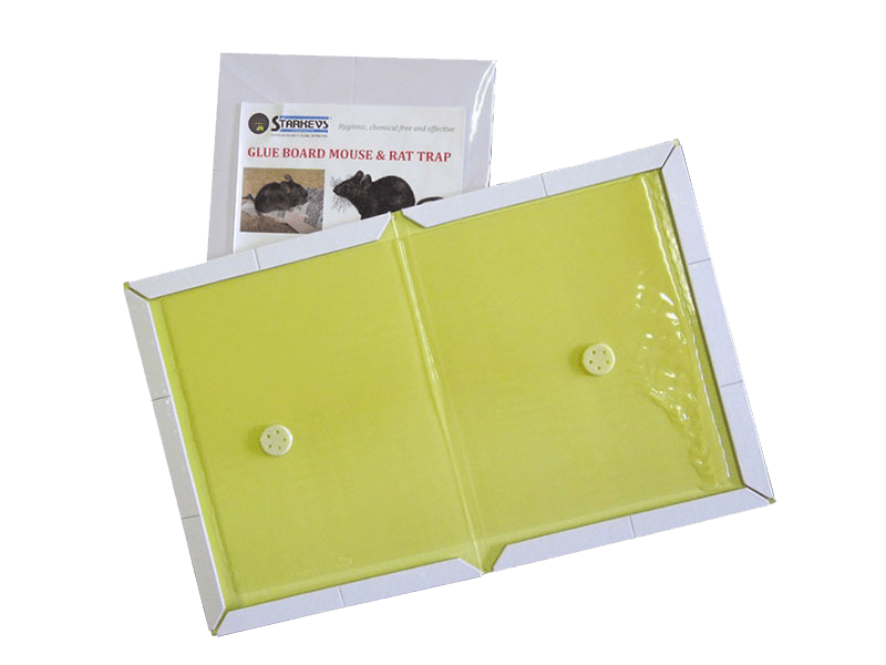 Rodent Control - PestWest Australia | Insect Control Products Australia